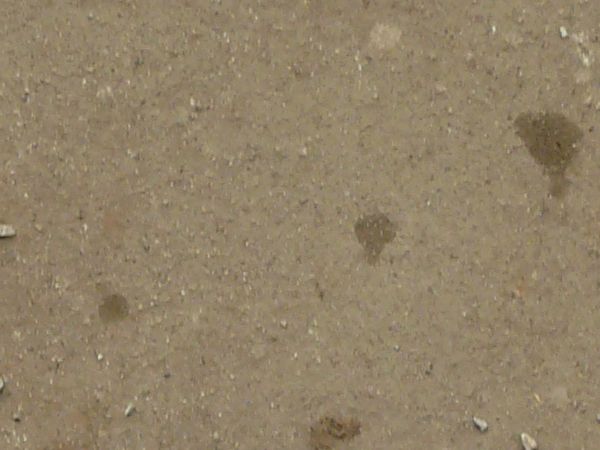 light brown asphalt texture 0056 - Texturelib